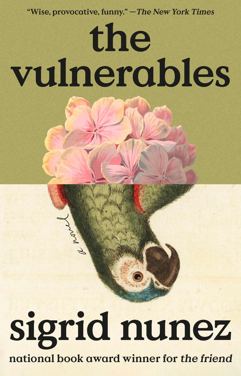 The Vulnerables – TYPE Books