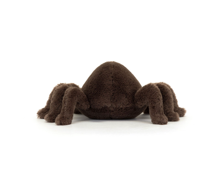 Ooky Spider (AUGUST ARRIVAL) – TYPE Books